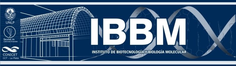 Jornadas de Seminarios Institucionales 2018|IBBM – Departamento de ...